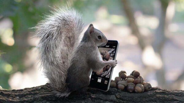 QUIETMAN // Emmy Award-Winning Production & SFX